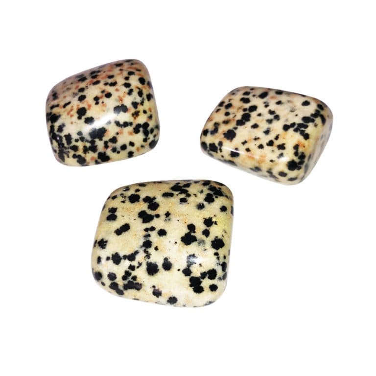 Pierre roulée Jaspe Dalmatien