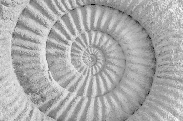 Spirale - Significations, Symboles et Bienfaits - Géométrie Sacrée ...