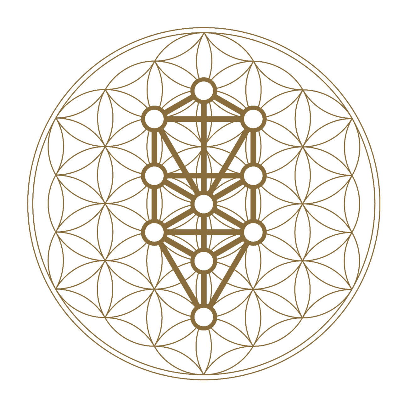 Arbre Kabbalistique - Significations, Symboles et Bienfaits - Géométrie ...