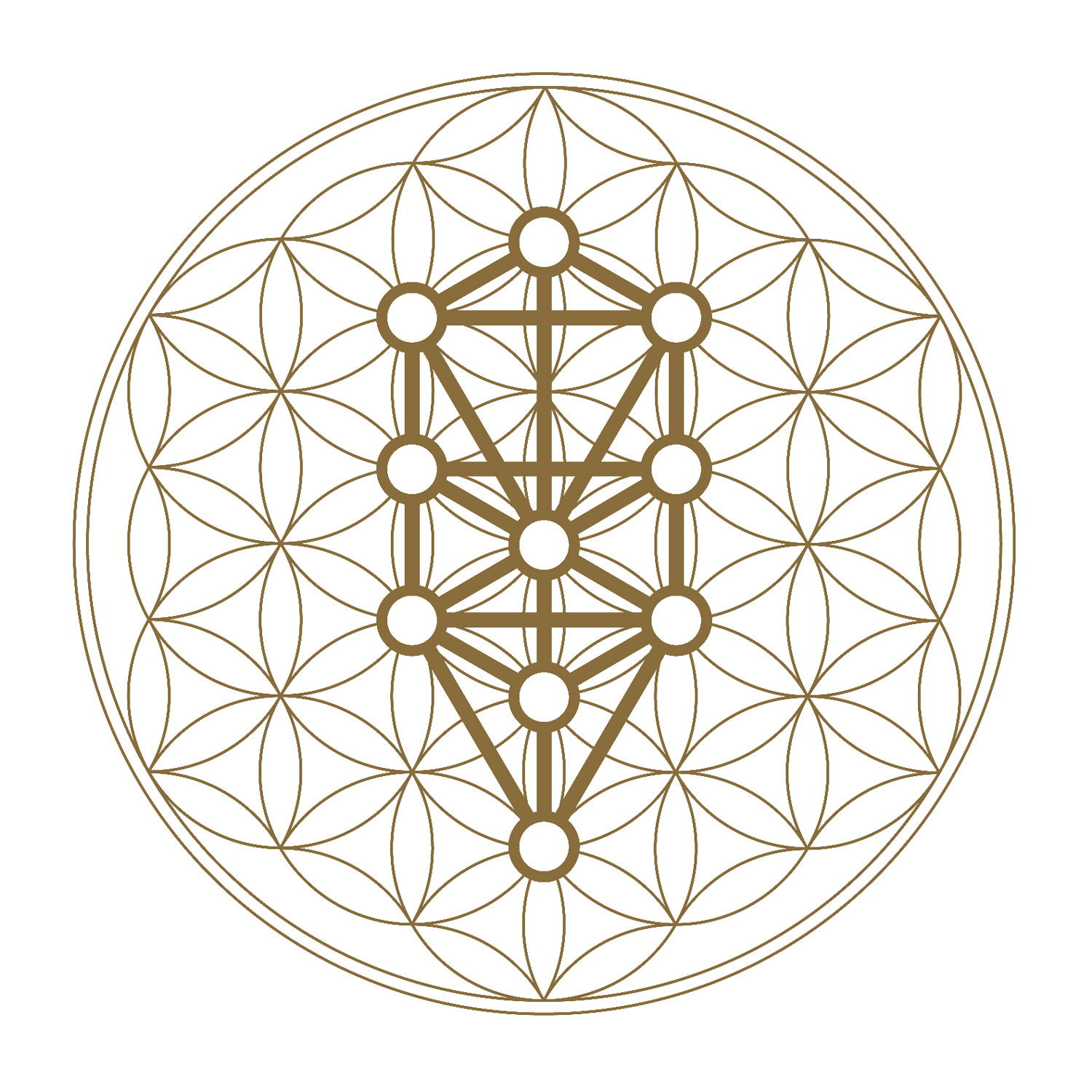 Arbre Kabbalistique - Significations, Symboles et Bienfaits - Géométrie ...