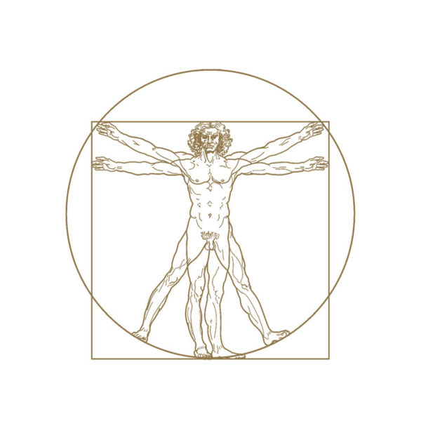 Homme de Vitruve - Significations, Symboles et Bienfaits - Géométrie ...