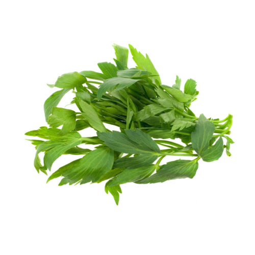 Ache des montagnes : Propriétés, Bienfaits et Applications en ...