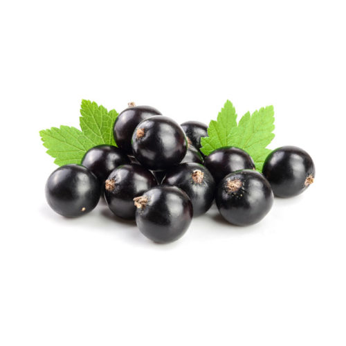 Cassis : Propriétés, Bienfaits et Applications en Phytothérapie ...