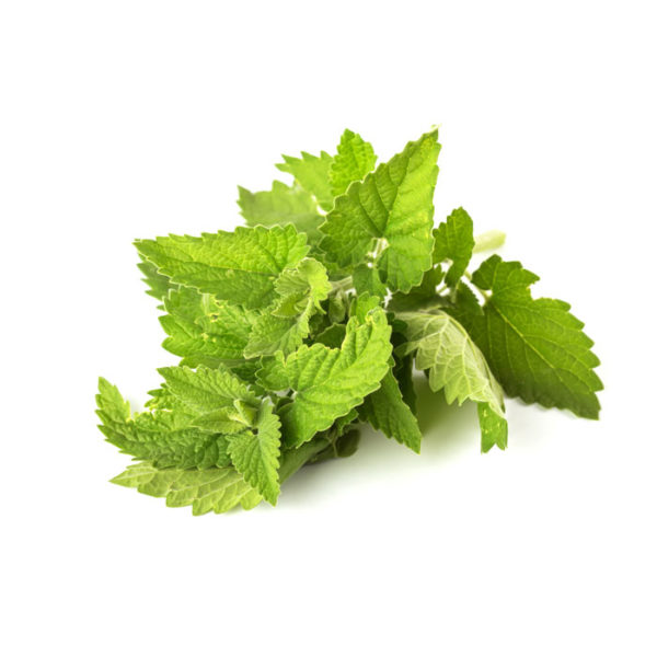 Citronnelle : Propriétés, Bienfaits et Applications en Phytothérapie ...