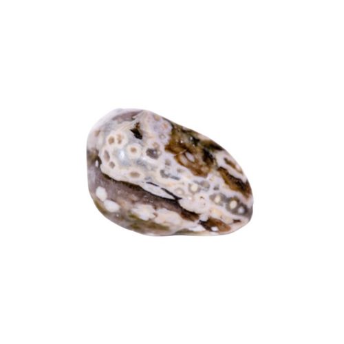 Pierre Agate Fossile - Vertus - Lithothérapie - France Minéraux