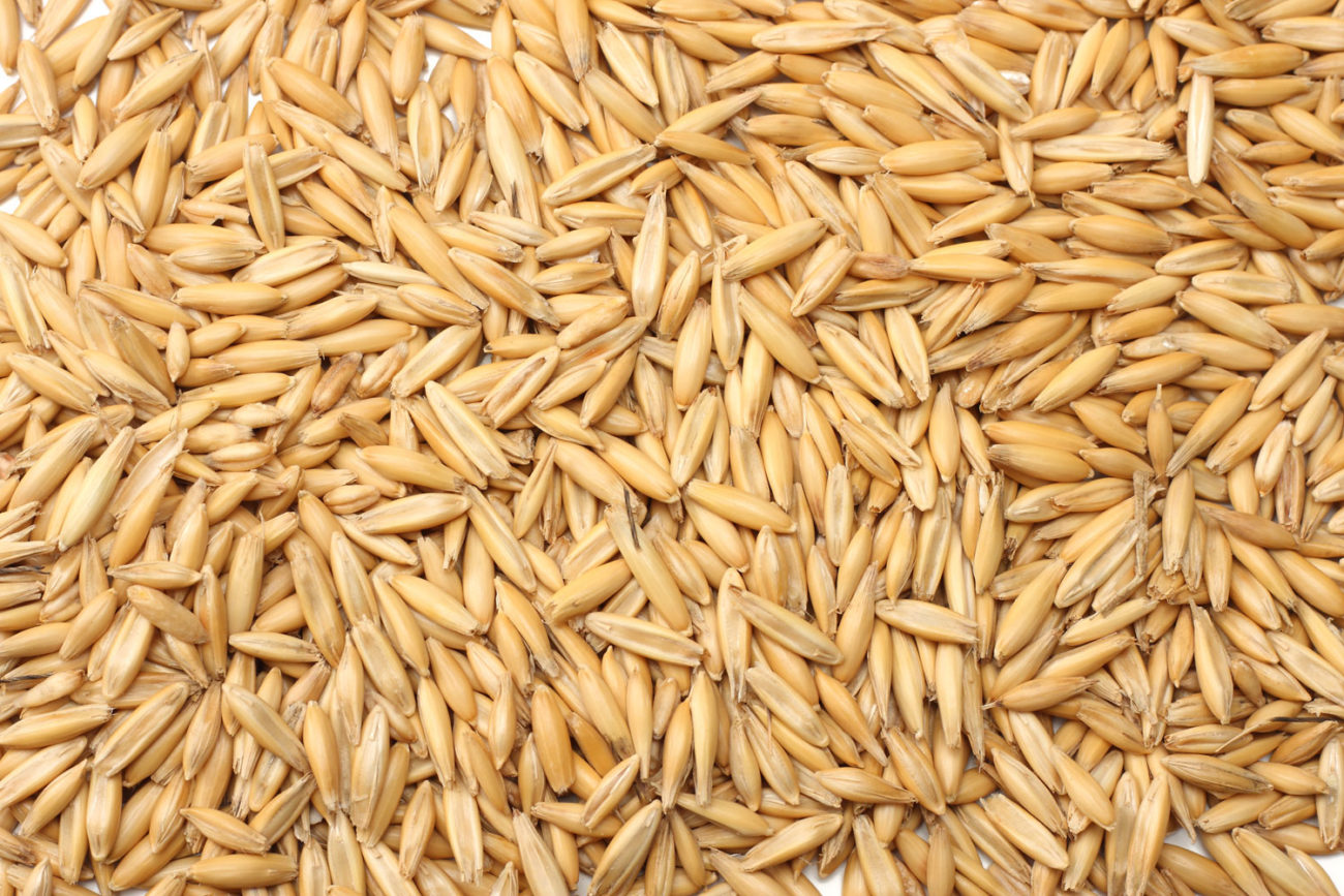 Avoine : Propriétés, Bienfaits et Applications en Phytothérapie ...