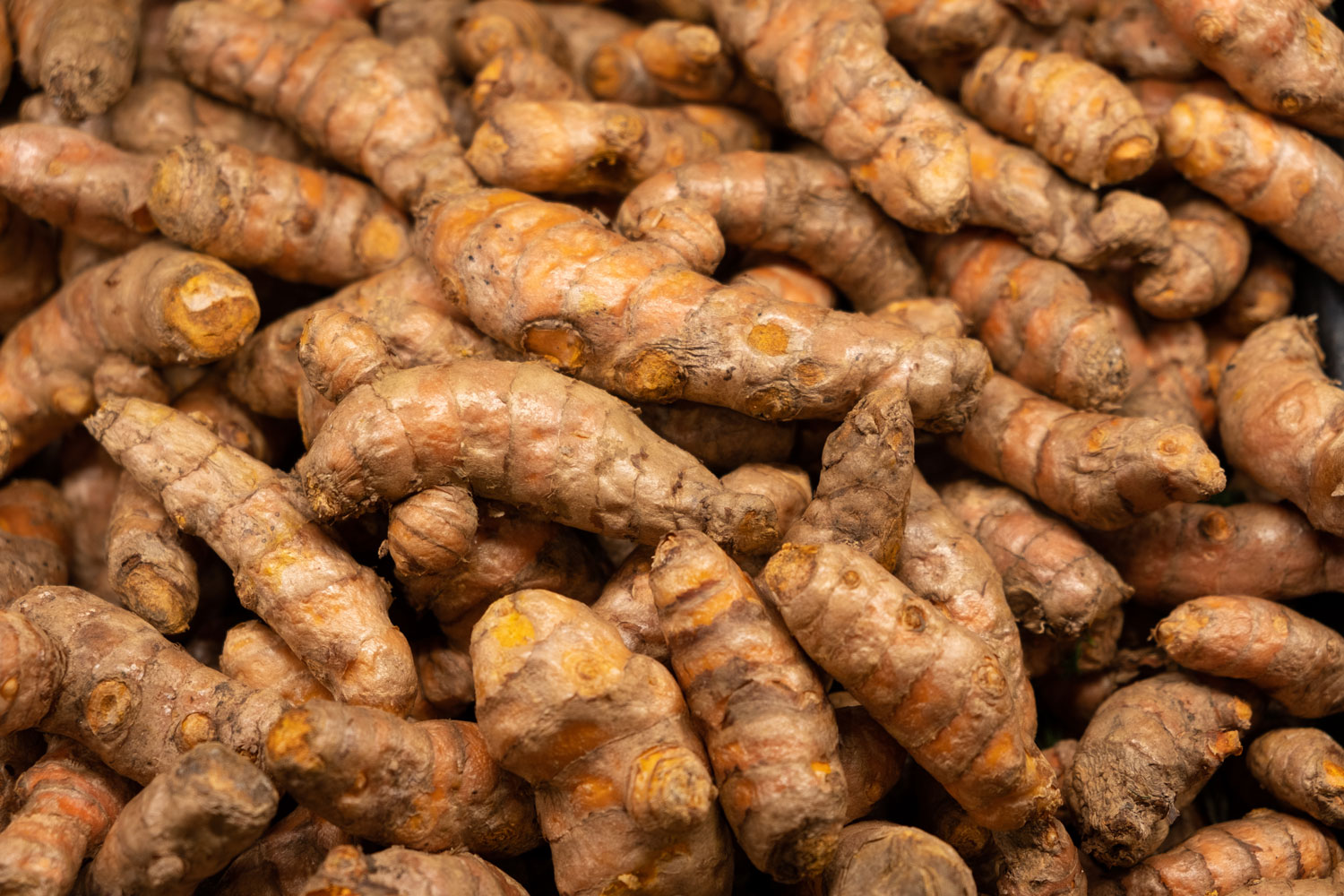 Curcuma : Propriétés, Bienfaits et Applications en Phytothérapie ...