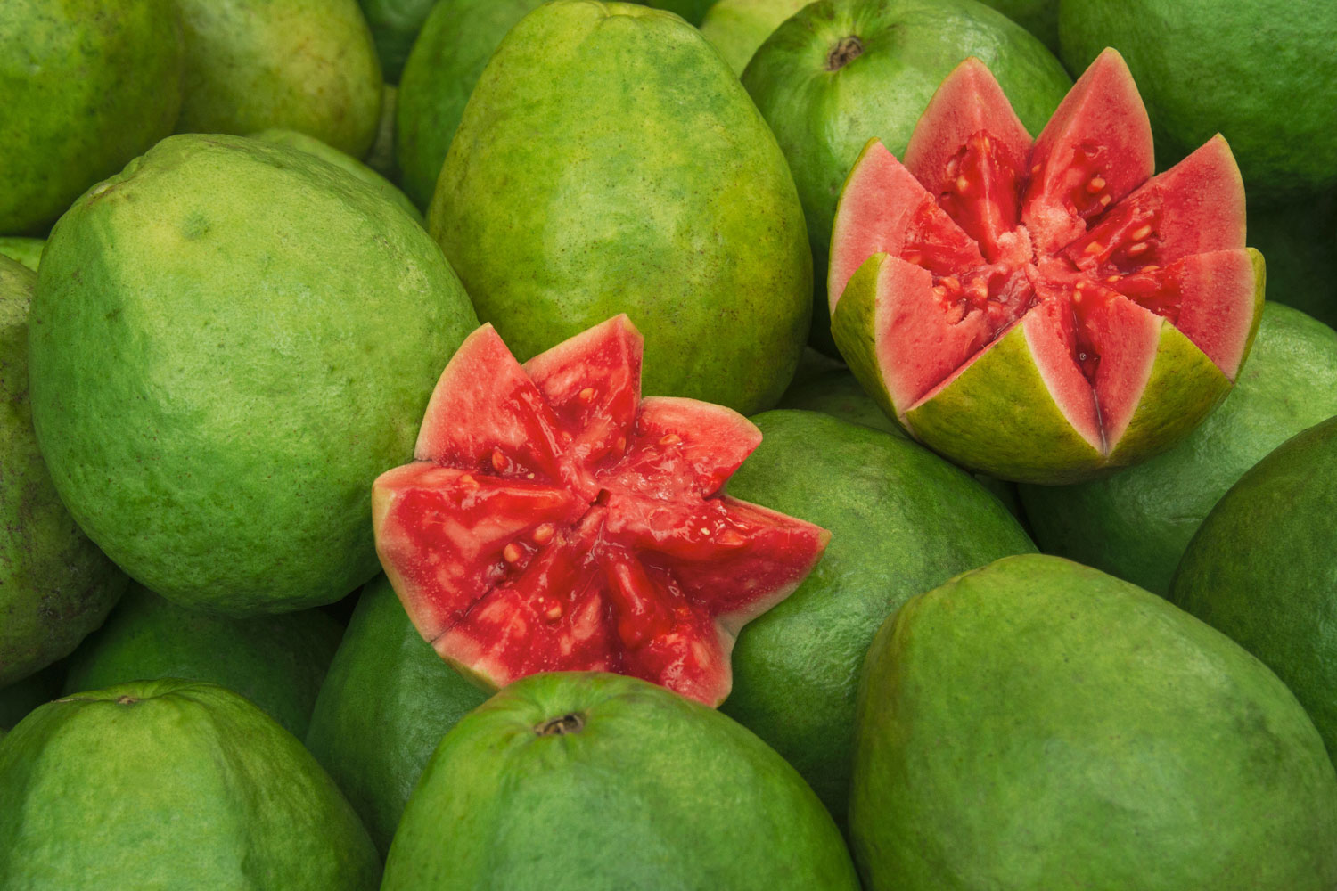 Goyavier : Propriétés, Bienfaits et Applications en Phytothérapie ...