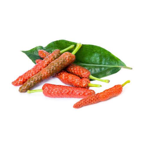 Jaborandi : Propriétés, Bienfaits et Applications en Phytothérapie ...