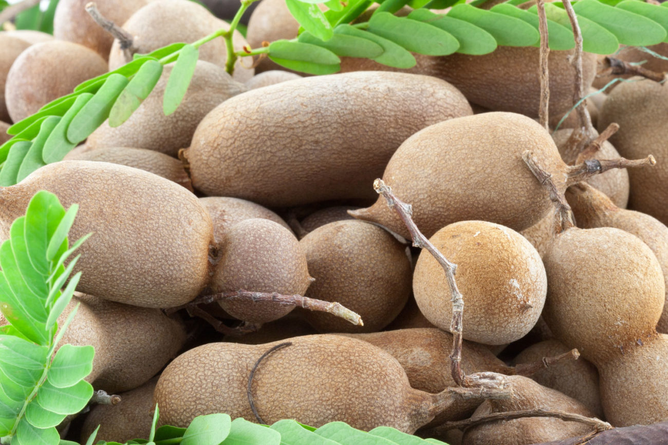 Tamarin : Propriétés, Bienfaits et Applications en Phytothérapie ...