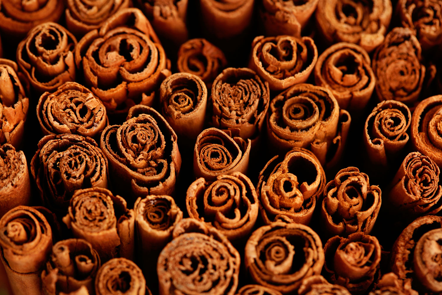Cannelle de Ceylan : Propriétés, Bienfaits et Applications en ...