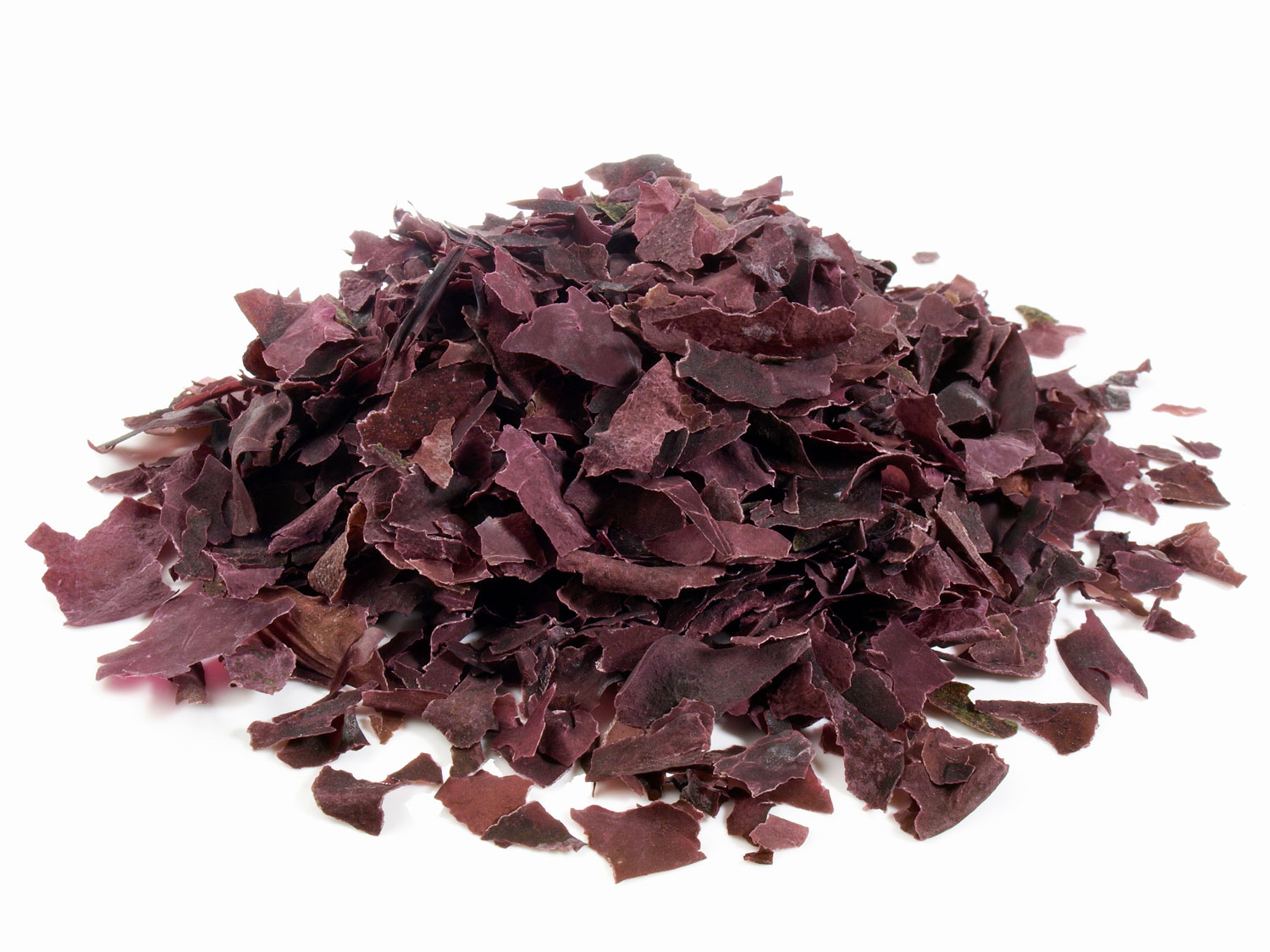 Dulse : Propriétés, Bienfaits et Applications en Phytothérapie - France ...