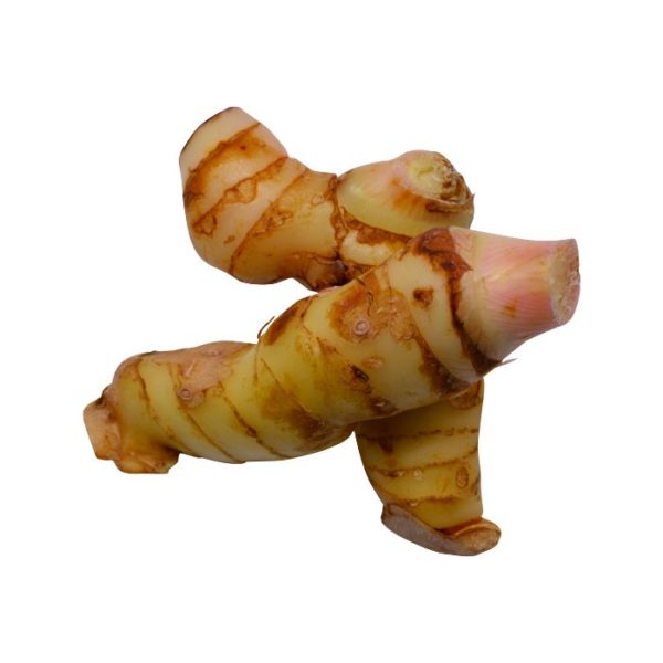 Galanga : Propriétés, Bienfaits et Applications en Phytothérapie - France Minéraux