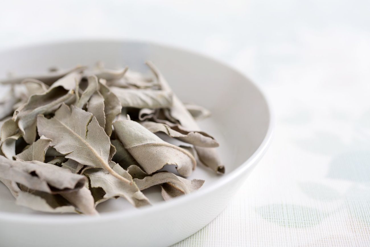 Sauge blanche : Propriétés, Bienfaits et Applications en Phytothérapie ...