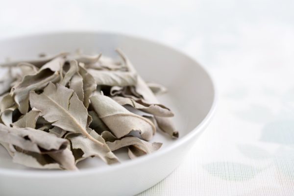 Sauge blanche : Propriétés, Bienfaits et Applications en Phytothérapie ...