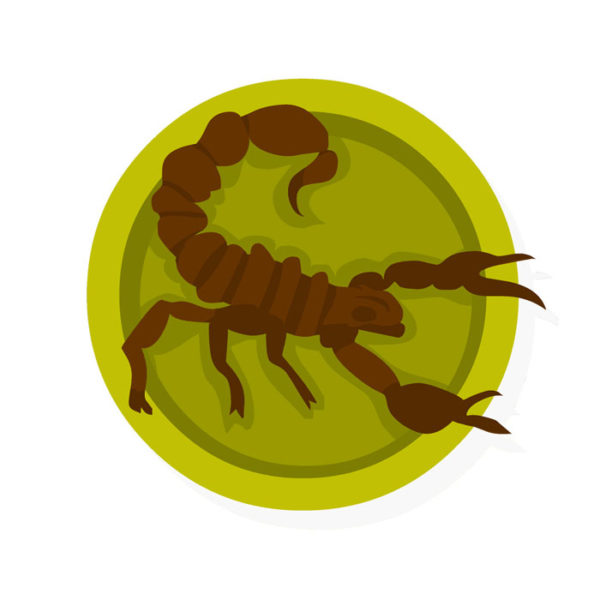 Signes Astrologiques du Bébé / Enfant : Caractère et Personnalité ...