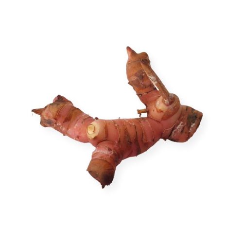 Petit galanga : Propriétés, Bienfaits et Applications en Phytothérapie - France Minéraux