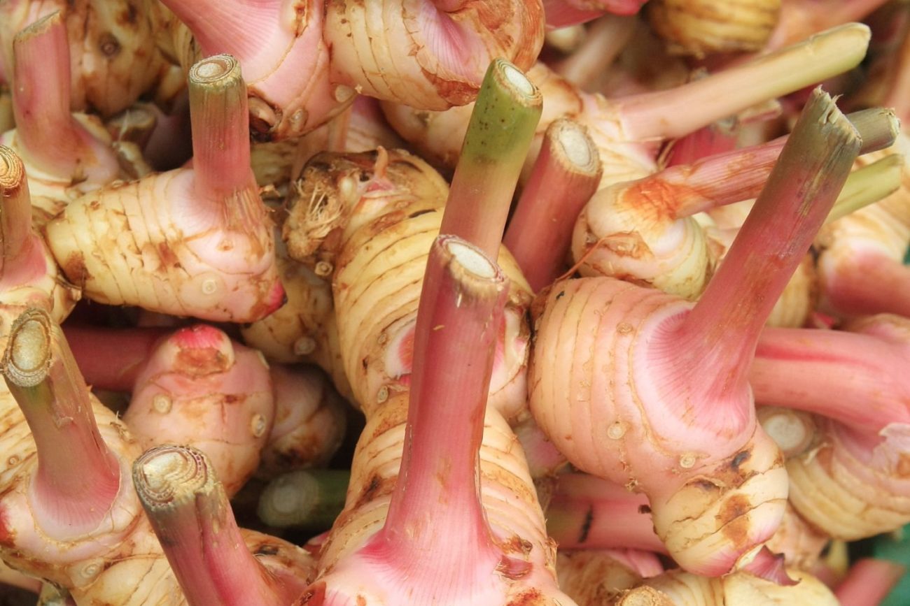Petit galanga : Propriétés, Bienfaits et Applications en Phytothérapie - France Minéraux