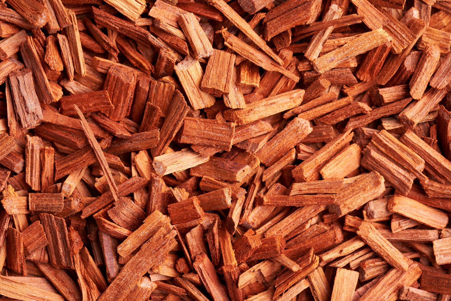 Santal blanc : Propriétés, Bienfaits et Applications en Phytothérapie ...