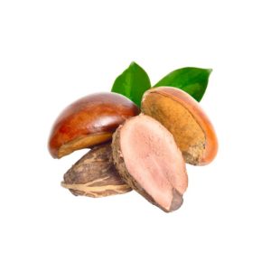 Guide des Huiles végétales de A à Z - Utilisations et Bienfaits - France Minéraux