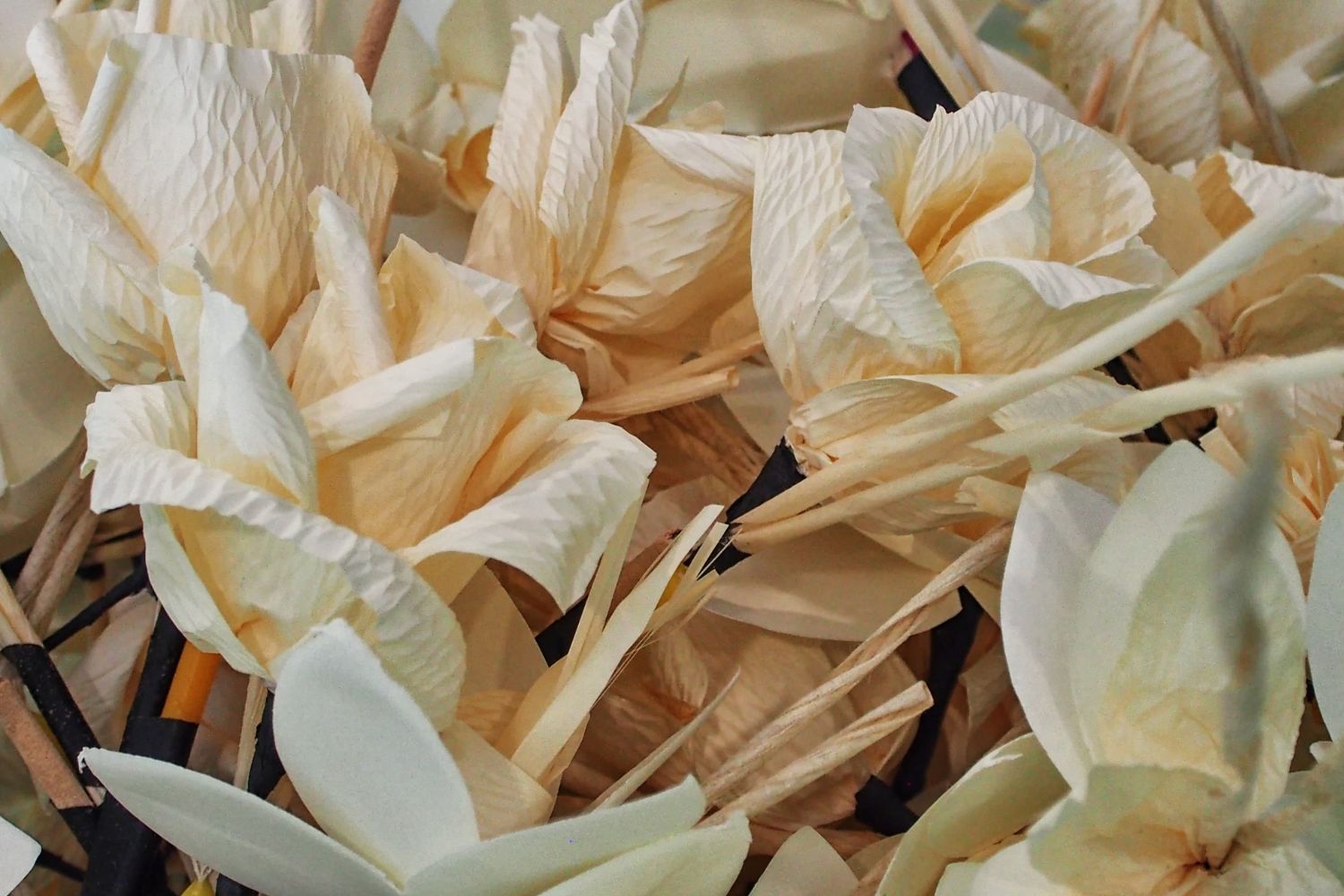 Huile essentielle de santal alba - Utilisations et Bienfaits - France ...