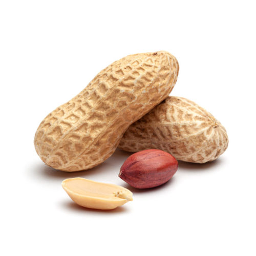 Arachide - Guide des Aliments de A à Z - France Minéraux