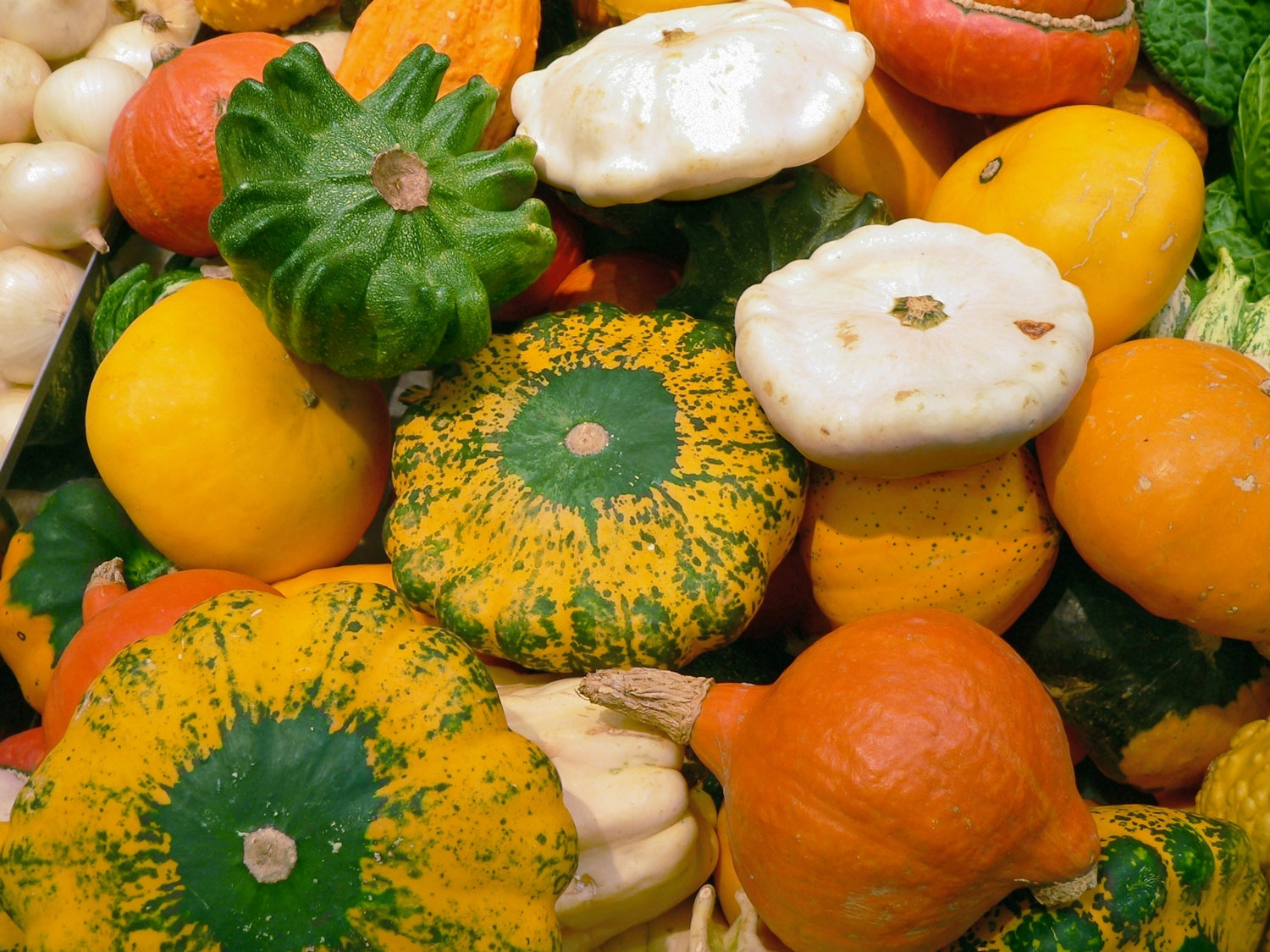 Courge - Guide des Aliments de A à Z - France Minéraux