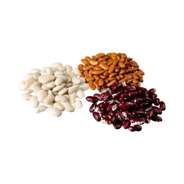 Haricots secs - Guide des Aliments de A à Z - France Minéraux