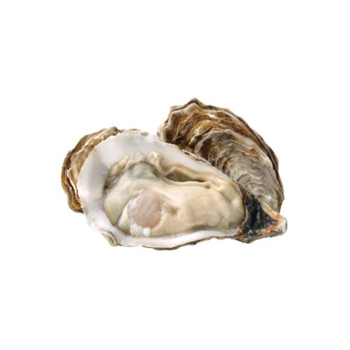 Huître - Guide des Aliments de A à Z - France Minéraux