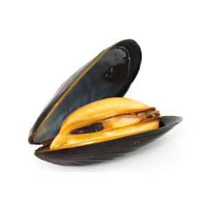 Moule - Guide des Aliments de A à Z - France Minéraux