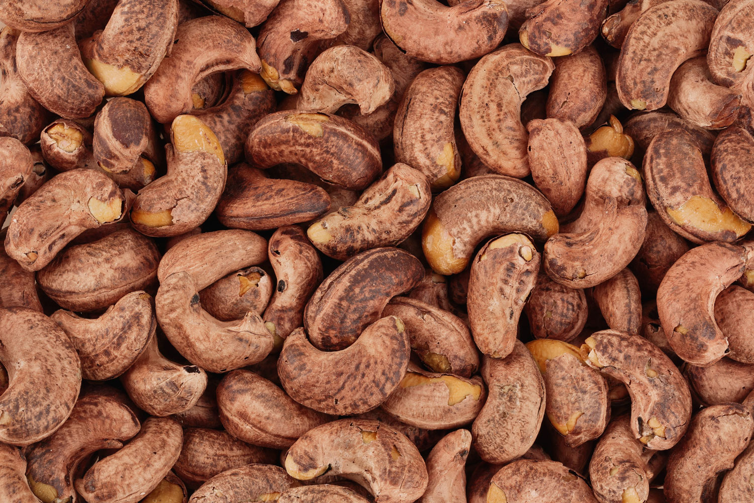 Noix de cajou - Guide des Aliments de A à Z - France Minéraux