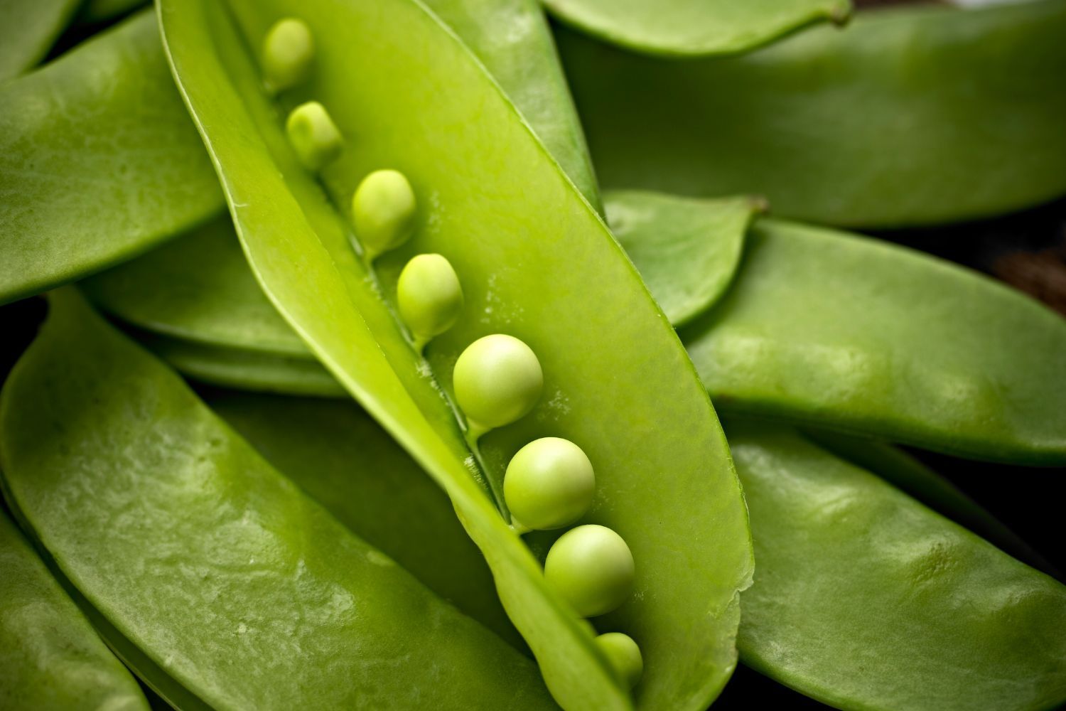 Le pois mange-tout - Guide des Aliments de A à Z - France Minéraux