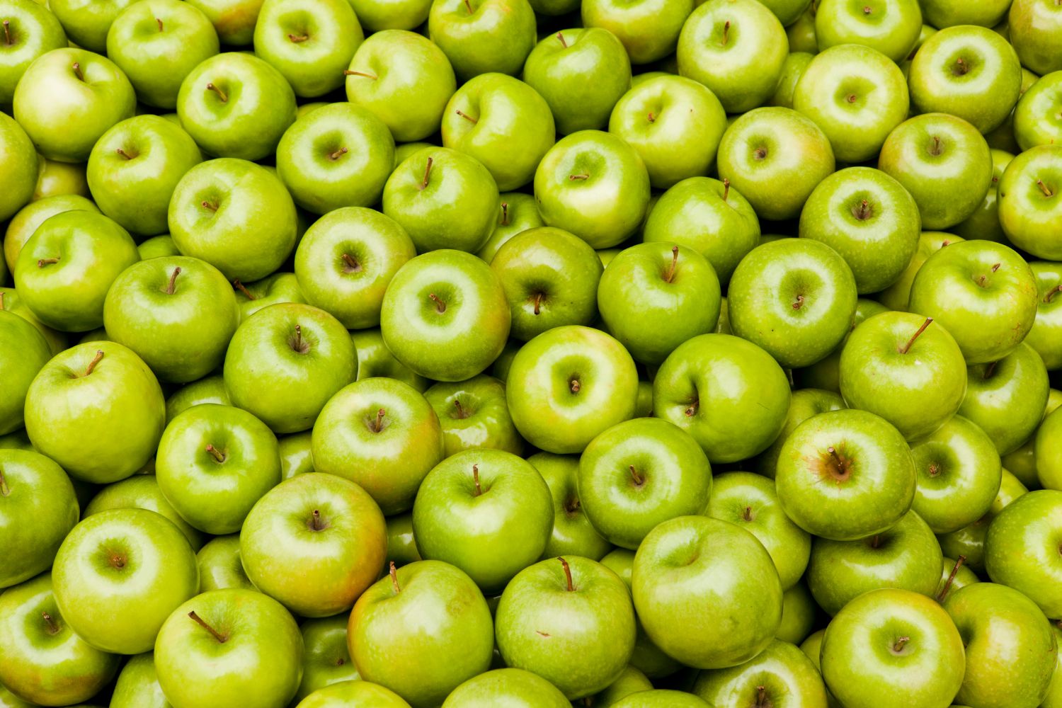 La pomme granny smith - Guide des Aliments de A à Z - France Minéraux