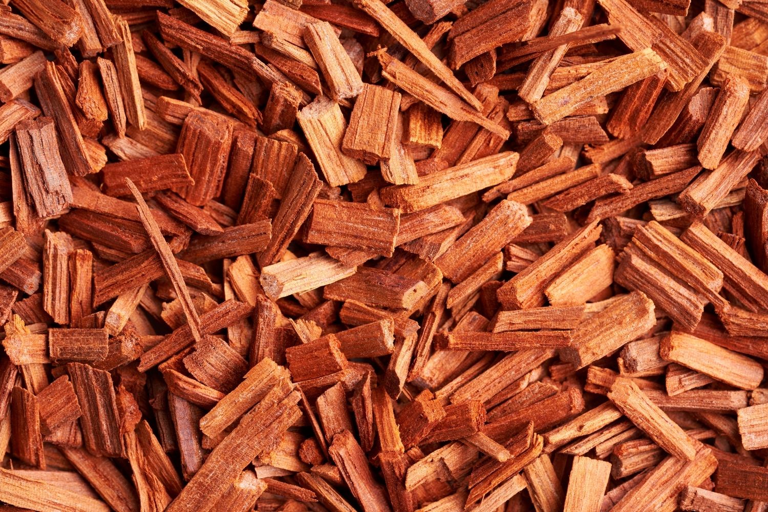 Huile essentielle de bois de santal - Utilisations et Bienfaits ...
