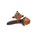 Huile essentielle de giroflier - Utilisations et Bienfaits - France ...