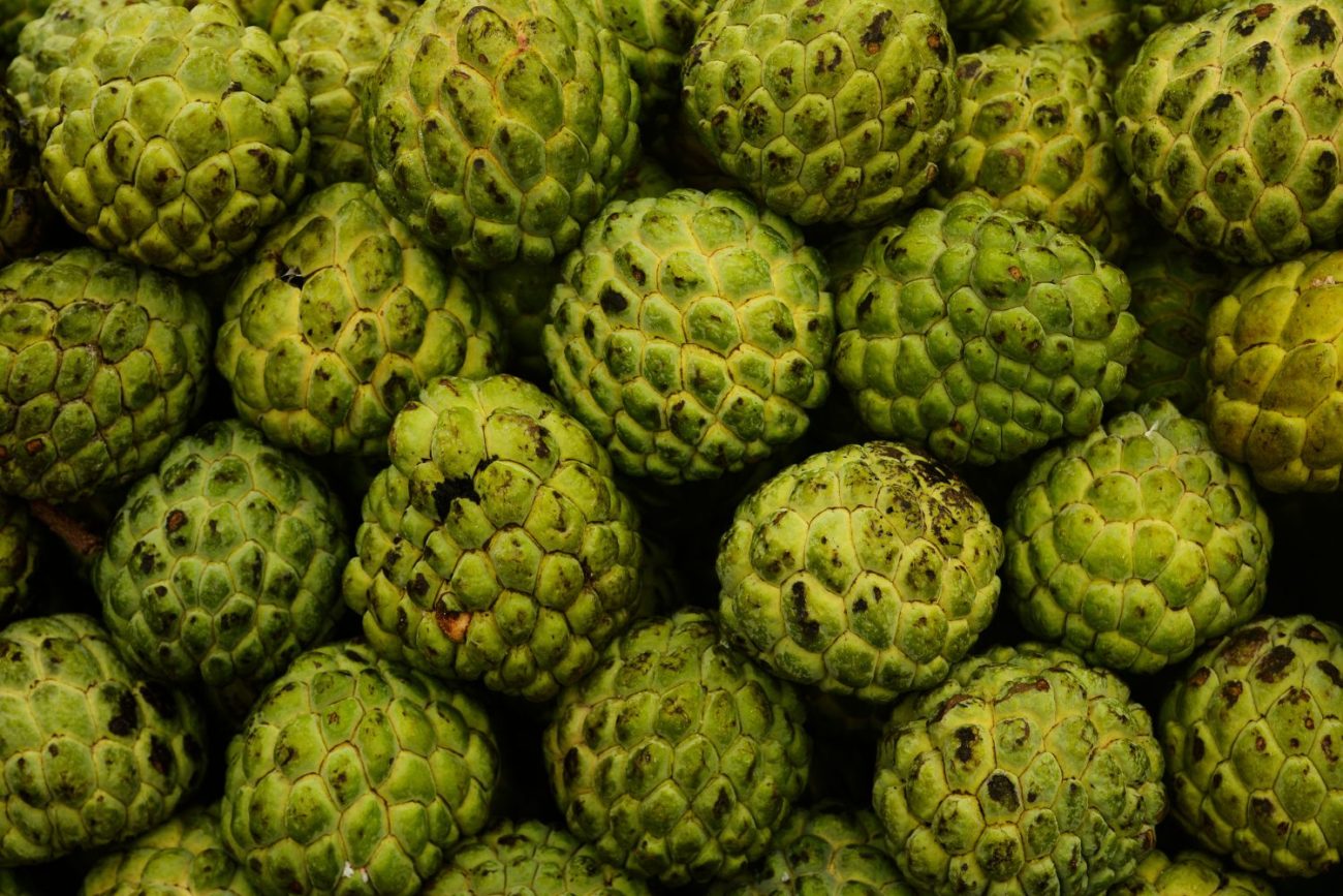 Anone - Guide des Aliments de A à Z - France Minéraux