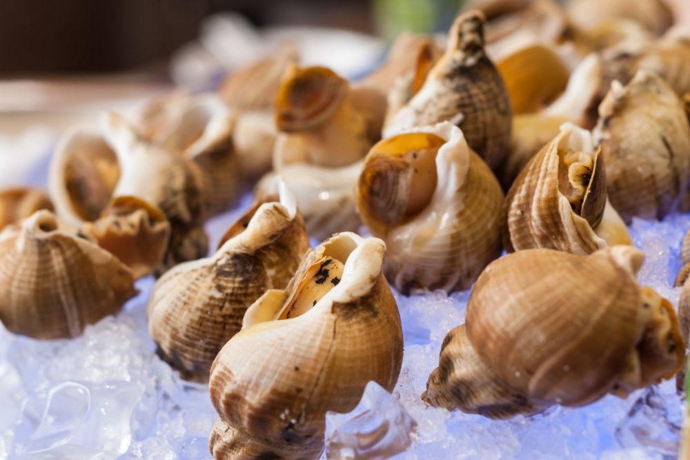 Bulot - Guide des Aliments de A à Z - France Minéraux