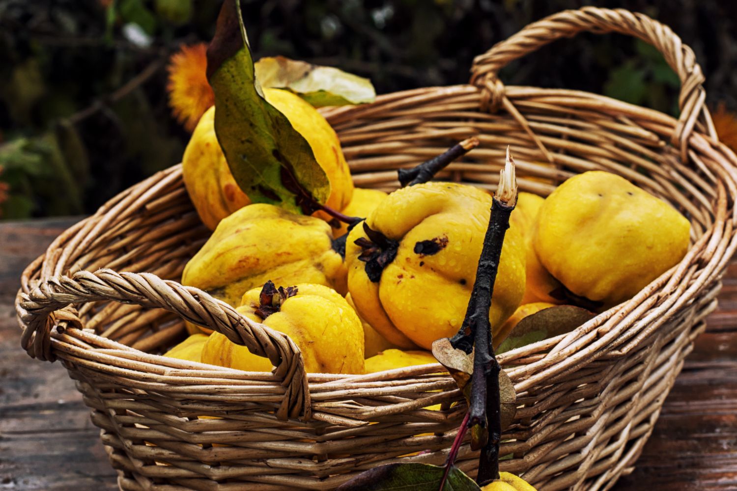 Coing - Guide des Aliments de A à Z - France Minéraux