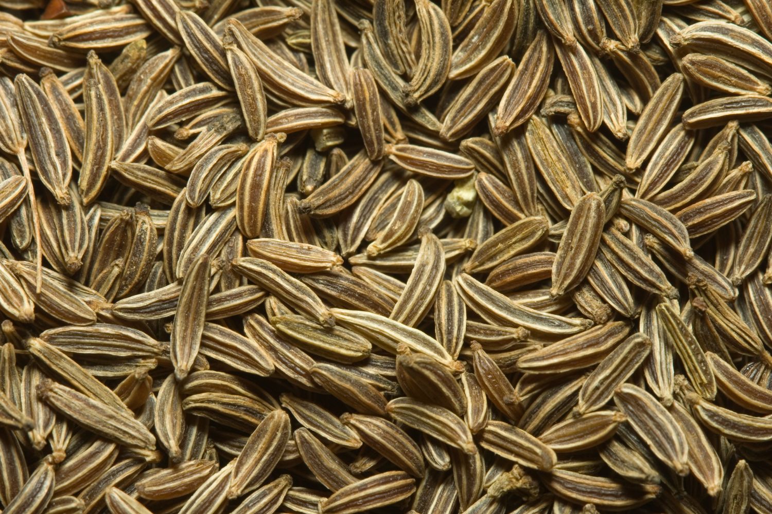 Cumin - Guide des Aliments de A à Z - France Minéraux