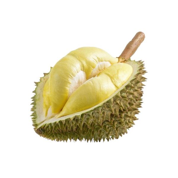 Durian - Guide des Aliments de A à Z - France Minéraux
