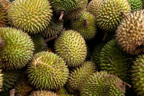 Durian - Guide des Aliments de A à Z - France Minéraux