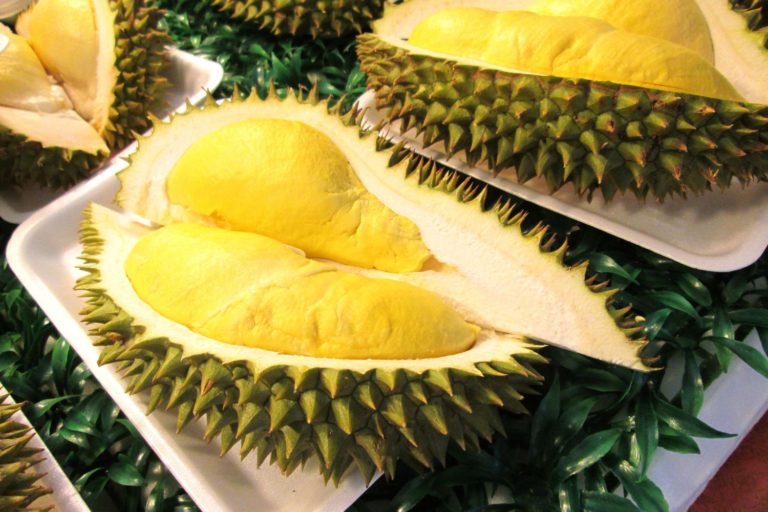 Durian - Guide des Aliments de A à Z - France Minéraux