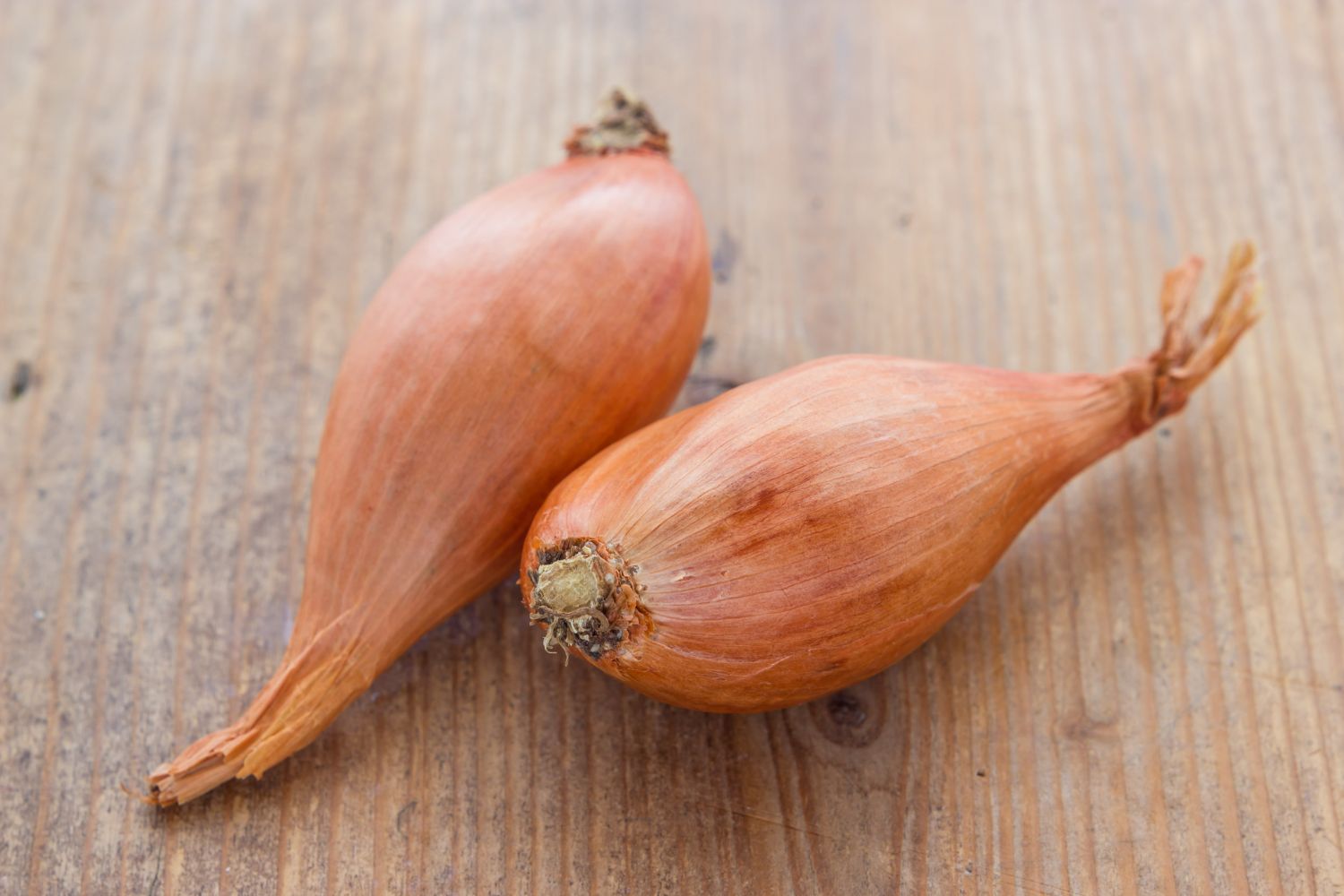 Echalote - Guide des Aliments de A à Z - France Minéraux