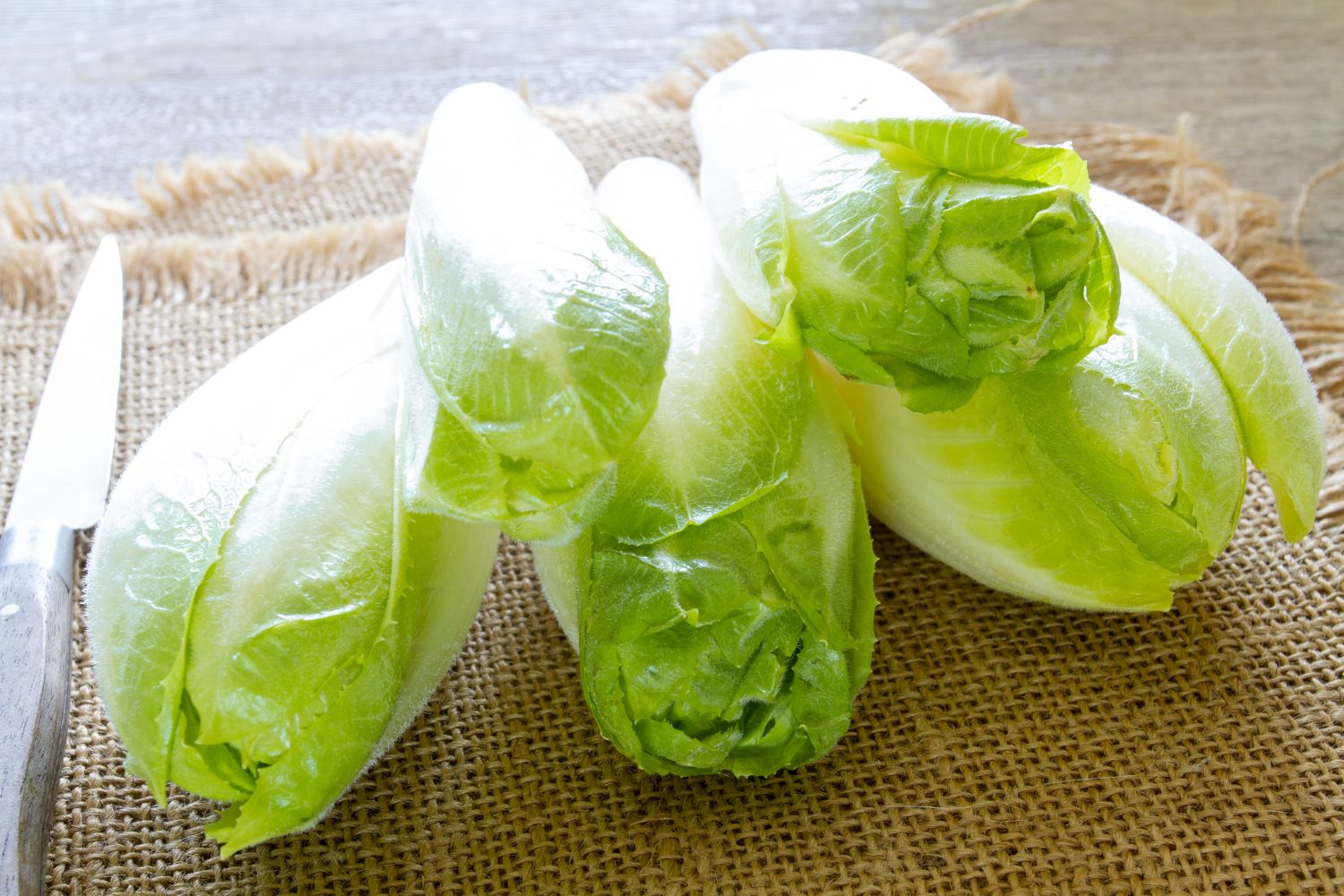 Endive - Guide des Aliments de A à Z - France Minéraux