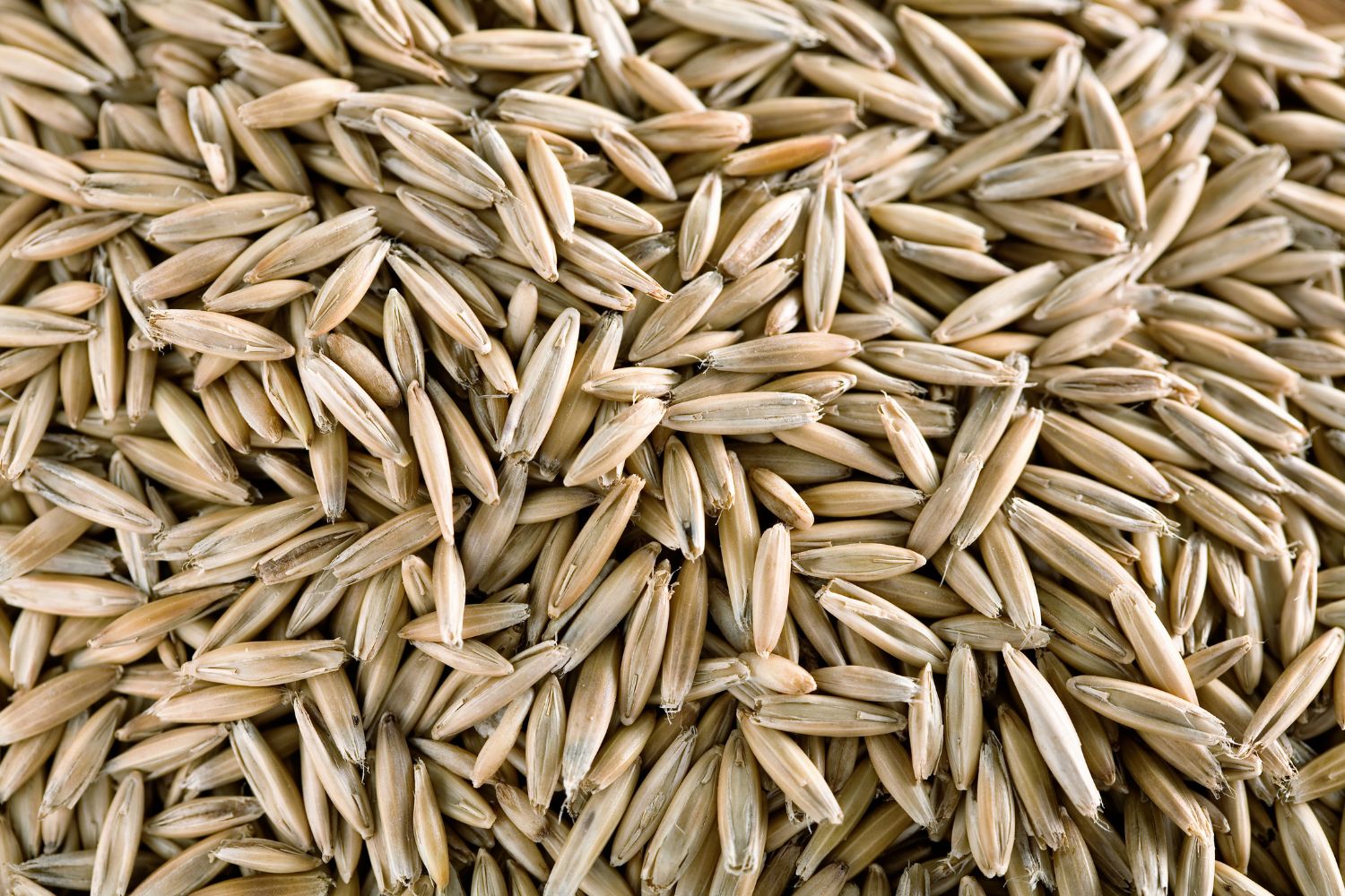Farine de seigle - Guide des Aliments de A à Z - France Minéraux