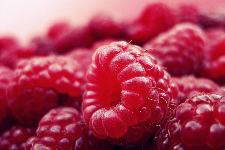 Fruits rouges - Guide des Aliments de A à Z - France Minéraux