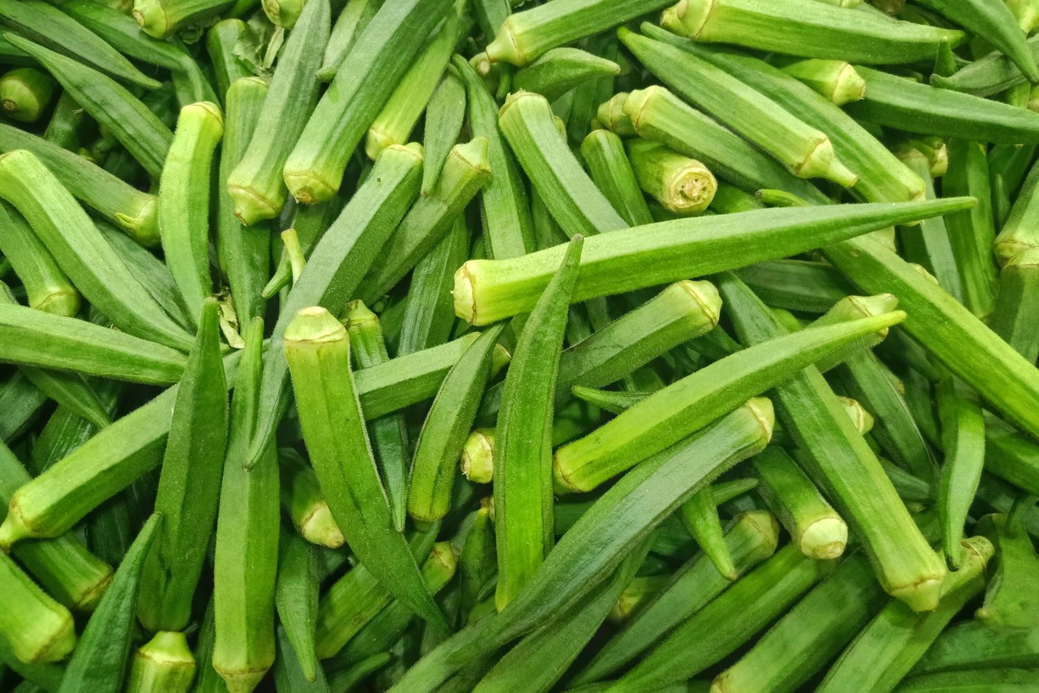 Gombo - Guide des Aliments de A à Z - France Minéraux