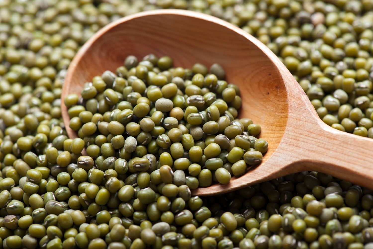 Haricot mungo - Guide des Aliments de A à Z - France Minéraux