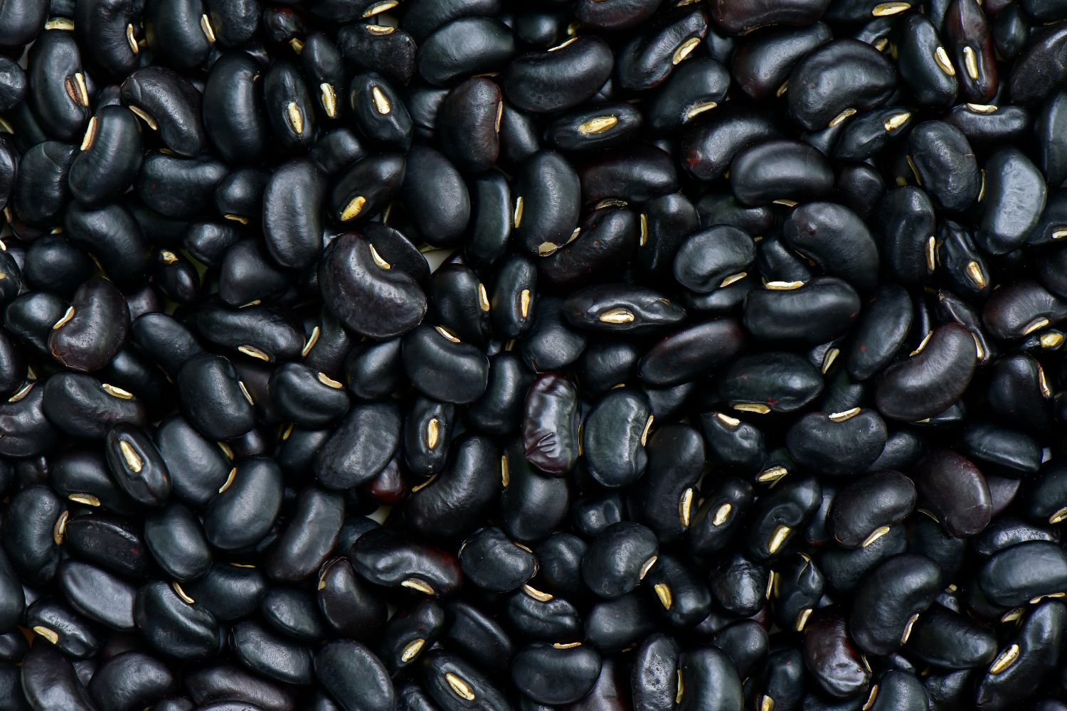 Haricots noirs - Guide des Aliments de A à Z - France Minéraux