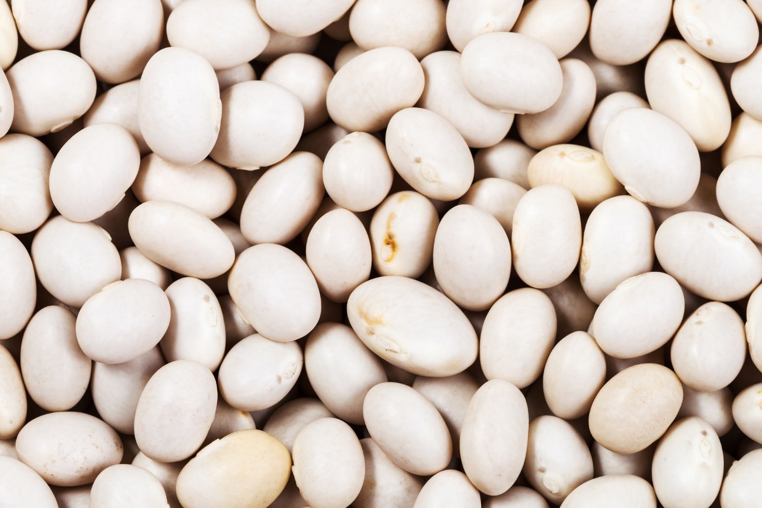 Haricots secs - Guide des Aliments de A à Z - France Minéraux